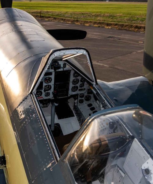 Hawker Sea Fury - For Sale